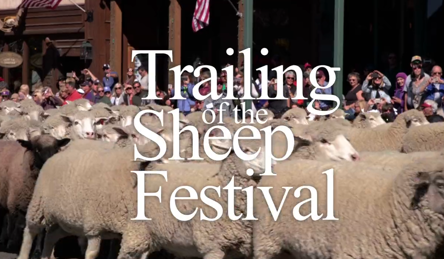 TRAILING OF THE SHEEP FESTIVAL Idaho, 9-13 ottobre